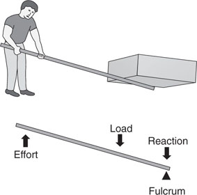 Chapter 12 - Basic Mechanics
